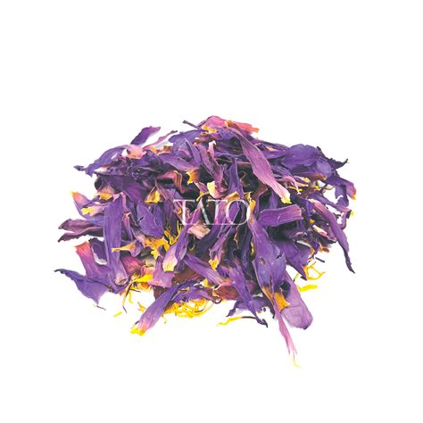 Organic Blue Lotus Flowers Dried Whole Or Crushed Premium Nymphaea