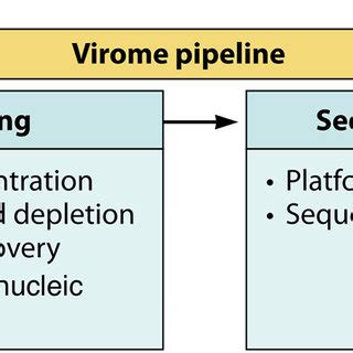 Description Of A Viral Metagenomics Pipeline A Viral Metagenomics Download Scientific Diagram