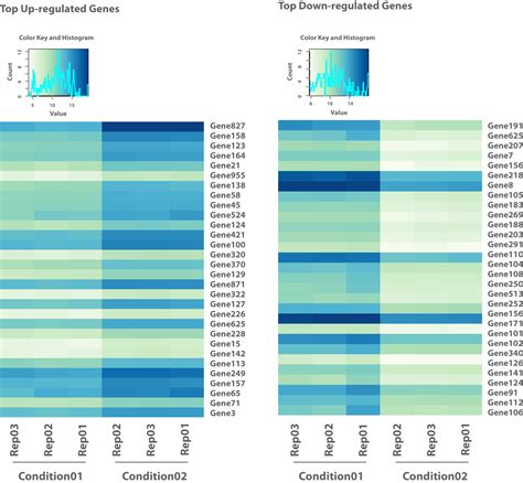 RNA Sequencing Microsynth DE