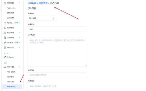 使用coding部署项目 Csdn博客