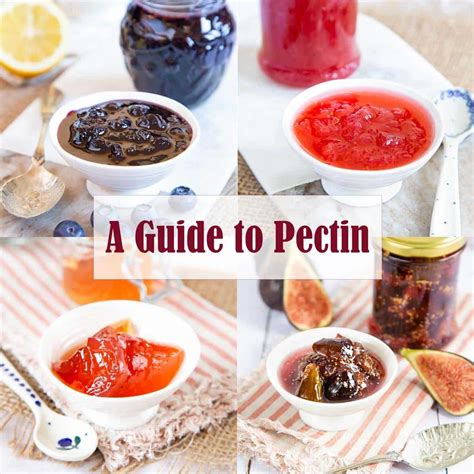 A Guide To Pectin How To Test For It And Use It Helens Fuss Free