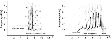 Typical Male S Left And Female S Right Spectrogram Showing The Download Scientific Diagram