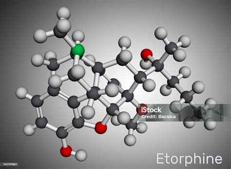 에토르핀 M99 분자 그것은 모르피난 알칼로이드 오피오이드 진통제 수의학 사용을위한 진정제입니다 분자 모델 3d 렌더링 0명에