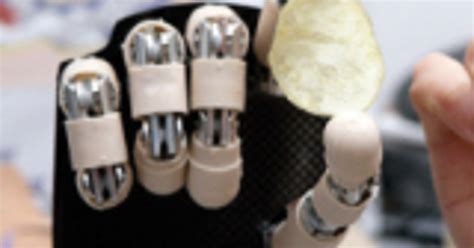 Collaboration Enables Development Of Bio Inspired Robots