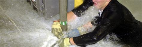 33 Linksys Router Models Leak Full Historic Record Of Every Device Ever Connected