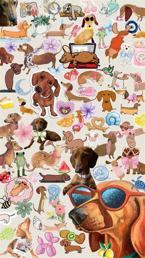 Imagenes De Perros Salchichas