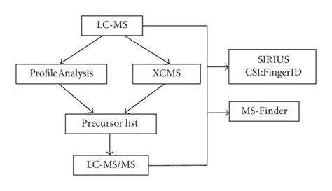 General Scheme Showing The Workflow Of Data Analysis Download Scientific Diagram