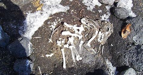 Shackletons Hut Album On Imgur