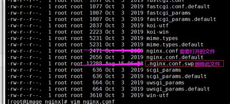 Swap file nginx conf swp already exists 问题 sewen 博客园