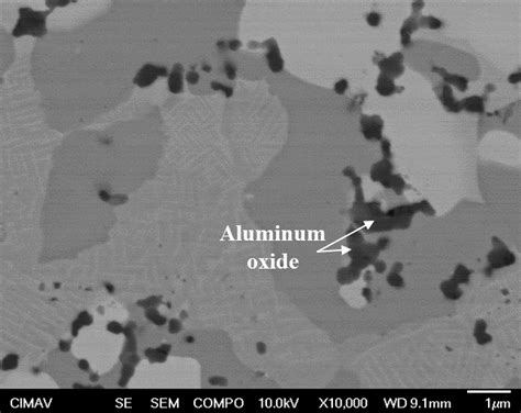 Fe Sem Micrograph Showing The Microstructure Of The Alcocrcufemoni