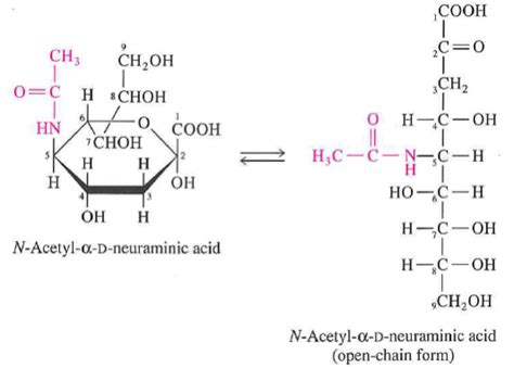 Neuraminic Acid Alchetron The Free Social Encyclopedia