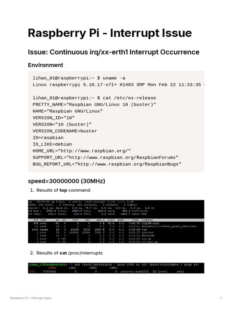 Rpi Interrupt Issue 1 Pdf