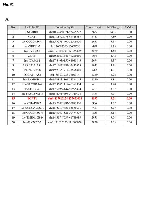 Tfap2c Mediated Lncrna Pcat1 Inhibits Ferroptosis In Docetaxel Resistant Prostate Cancer Through