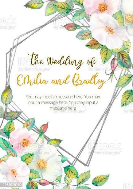 흰색 장미 엉덩이 붉은 과일 녹색 잎 기하학적 황금 프레임의 구성의 꽃 꽃 포스터 초대장 인사말 카드 또는 초대장의 디자인에 대한 수채화 조성물 0명에 대한 스톡 벡터 아트