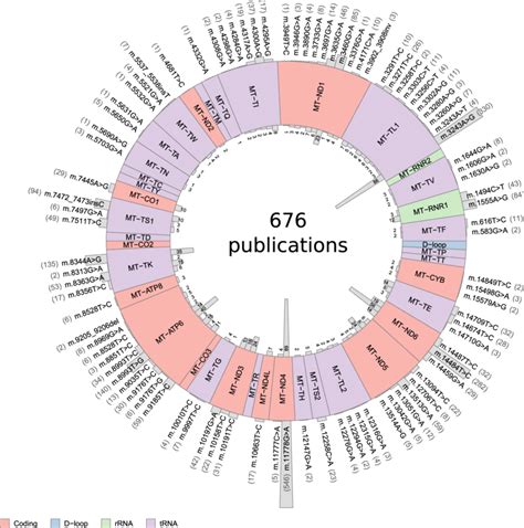 Confirmed Pathogenic Variants In The Mitochondrial Genome Eighty Nine