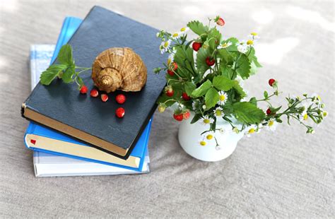 붉은 야생 잘 익은 딸기와 꽃과 잎이 있는 컵이 정원의 탁자 위에 있는 책 더미에 딸기 덤불에서 나뭇잎을 들고 있습니다 0명에 대한 스톡 사진 및 기타 이미지 Istock