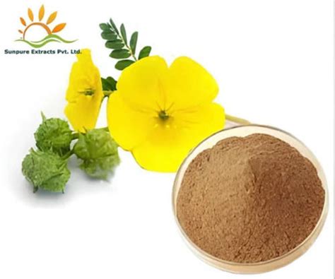 100 Natural And Pure Organic Herbal Extracts At Best Price In Bulandshahar Sunpure Extracts