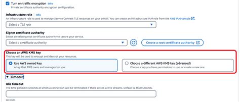 using tls certificates with amazon ecs service connect containers on aws