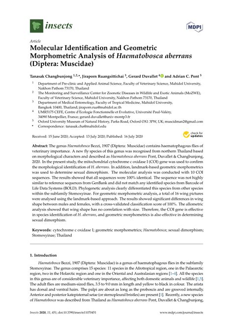Pdf Molecular Identification And Geometric Morphometric Analysis Of