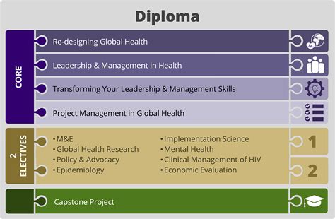 Global Health Leadership Professional Diploma Global Health E