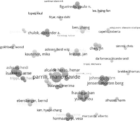 Bibliometric Mapping Of Authors Articles And Their Relationship Link