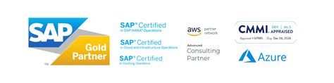 Sap Application Management Services Sap Ams Services Techwave