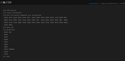Shodan Ile Dosya Ve Dizin Taraması By Serdar Gencoglu Medium