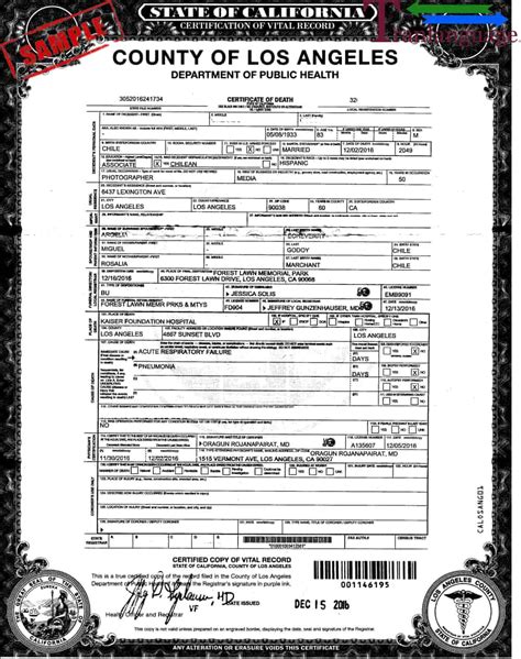 Death Certificate Us California Certified Translations