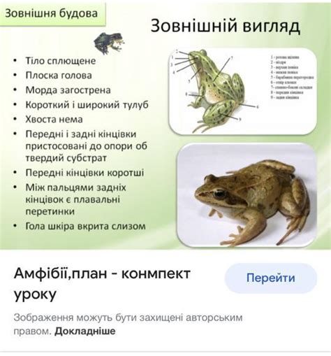 скласти таблицю пристосування земноводних існування Школьные Знания Com