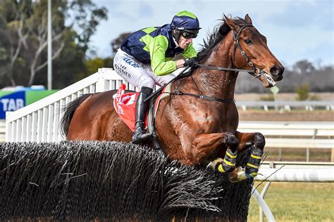 Kane Our Exciting Smart Missile Colt Goes Under Saddle For The First