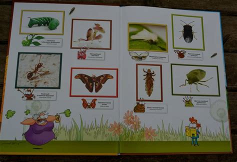 Книга Насекомые в комиксах Том 5 Казнов Водарзак Купить книгу читать рецензии Лабиринт