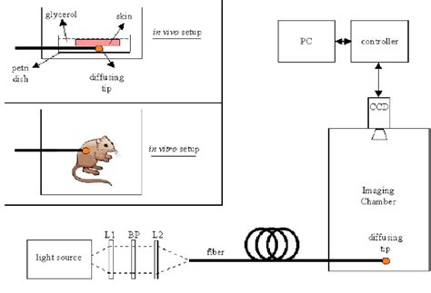 Figure 1 From Effect Of Optical Tissue Clearing On Spatial Resolution And Sensitivity Of