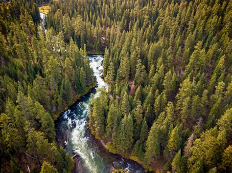 Saving The Deschutes River Protect And Preserve Now — Central Oregon