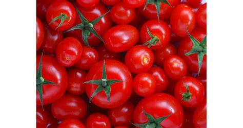 Отпускат 500 хил лв за борба с доматения молец Български Фермер