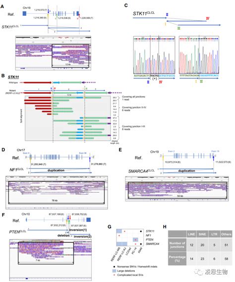 当三代测序遇到肿瘤基因组研究 知乎