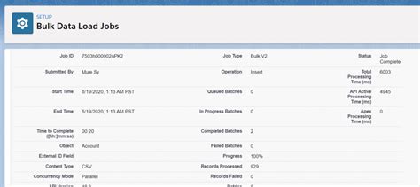 Process Csv Records Using Salesforce Bulk Api 20