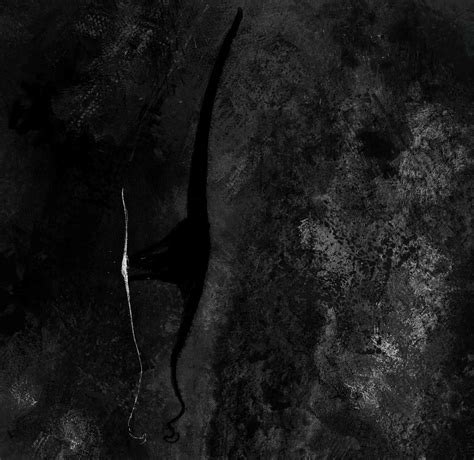 Meme Aggregator Album On Imgur