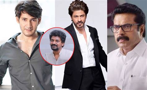 Mahesh Babu మహేశ్‌ బాబు మమ్ముట్టి షారుక్‌లతో సినిమా నెల్సన్‌ ప్లాన్‌ ఇదే Director