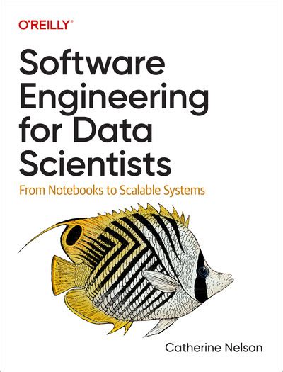 Preface Software Engineering For Data Scientists Book