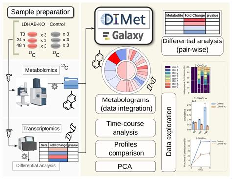 Lifesciences Reproducibility Bioinformatics Computationalbiology Bio Protocol