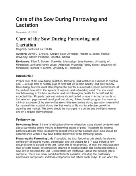Care Of The Sow During Farrowing And Lactation Docx