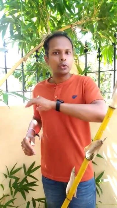 Uiux And Product Design Skills Part 8 Nobletransformationhub Uiuxdesigner Productdesigner