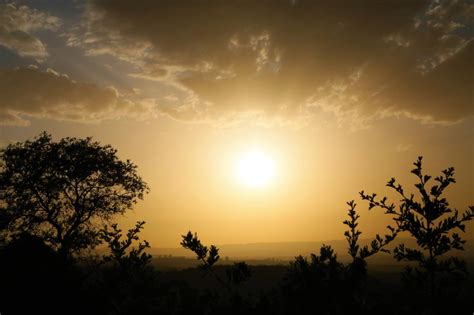 무료 이미지 봄 식물 일몰 저녁 하늘 자연 경관 구름 해돋이 대기 현상 나무 아침 태양 수평선 햇빛 노랑 분기 분위기 잔광 황혼 경치