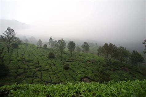 India With Acanela Expeditions — Acanela Expeditions Expedition