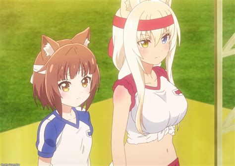 Joeschmo S Gears And Grounds Nekopara Episode Azuki Coconut Want To Fight