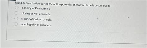 Solved Rapid Depolarization During The Action Potential Of