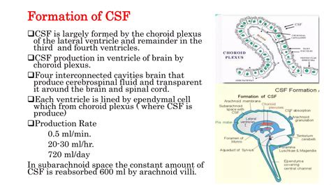 Cerebrospinal Fluid Csf Pptx