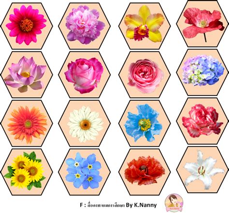 ดอกไม้แสนสวย 🌻🌺🌹🌷 เกมการศึกษาปฐมวัย By K Nanny