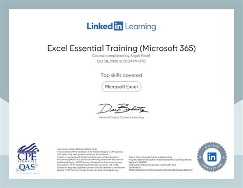 Excel Dataanalysis Professionaldevelopment Learningjourney
