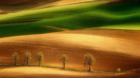 Understanding The Four Types Of Processing In Computer And Their Unique